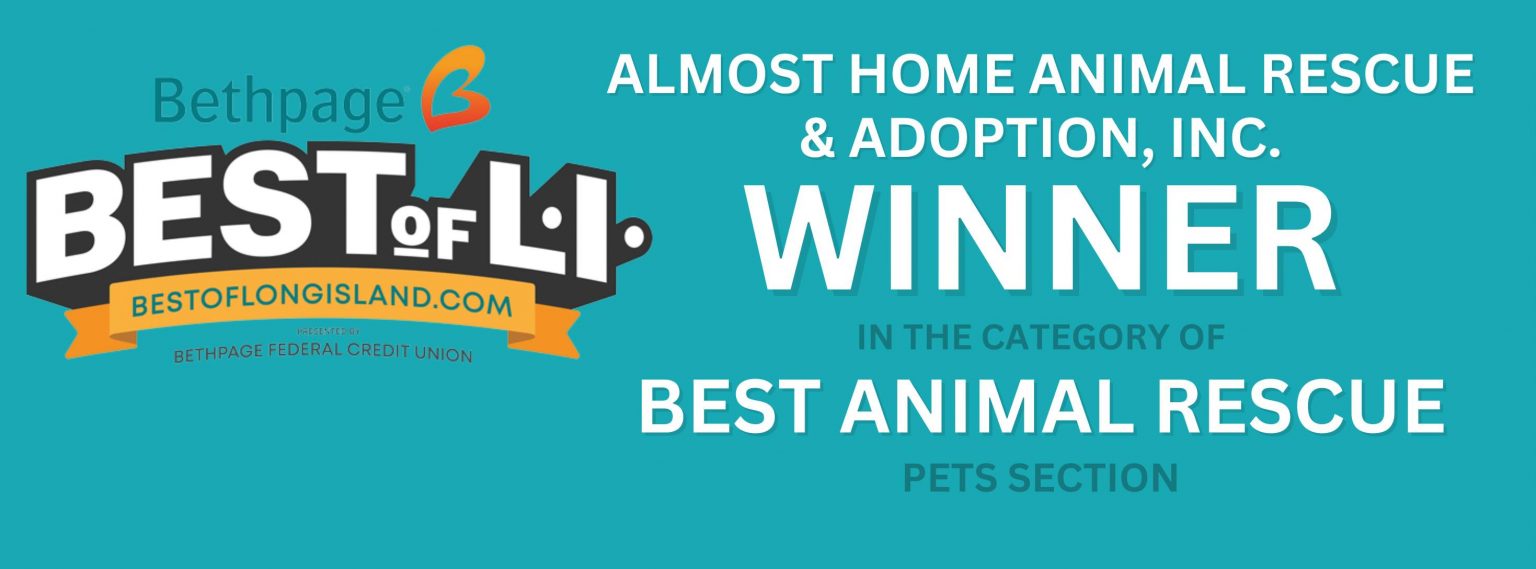 Almost Home Animal Rescue & Adoption - Almost Home Animal Rescue